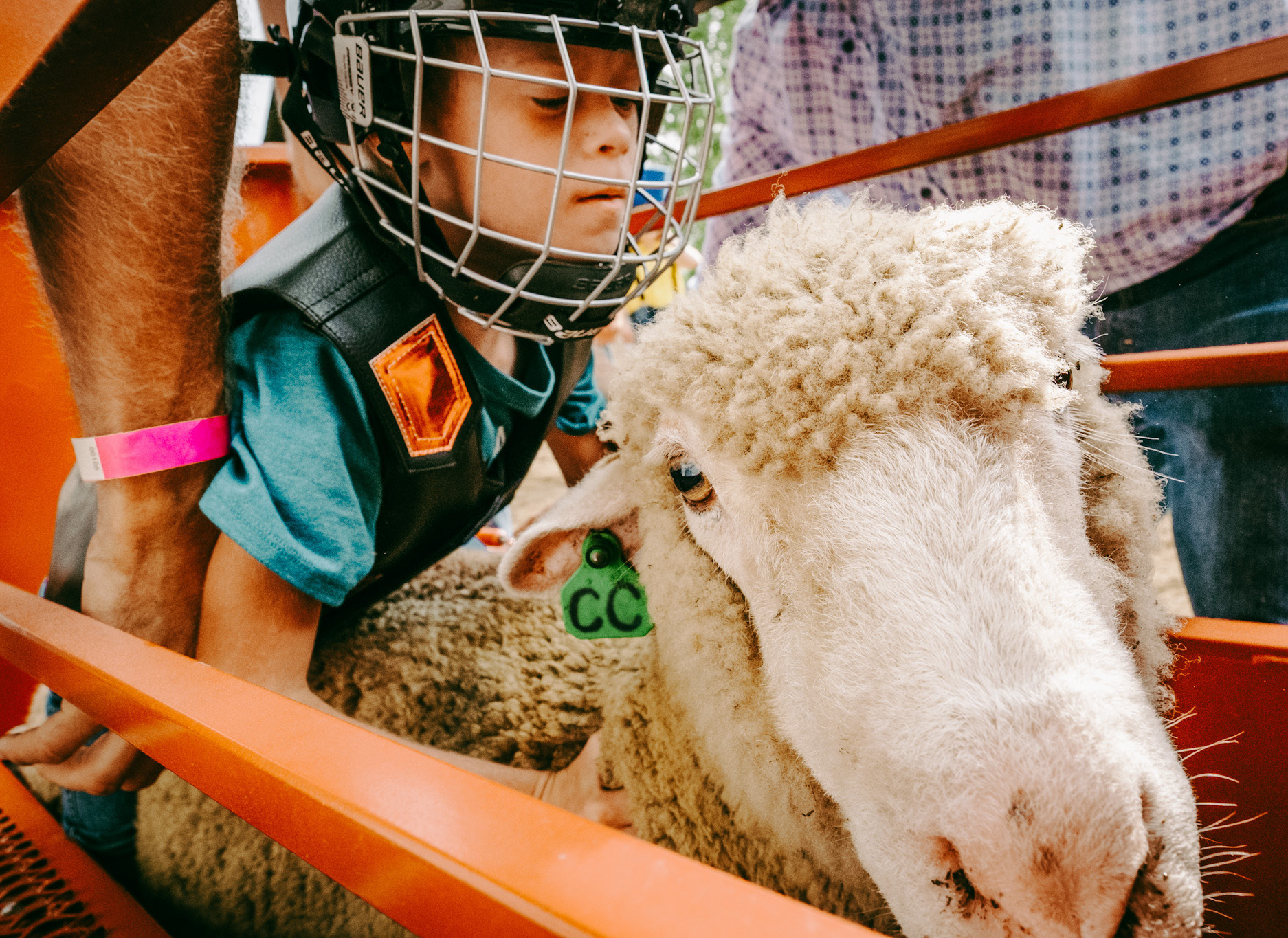 Not sheepish about bustin’ mutton chops | Reporter & Farmer